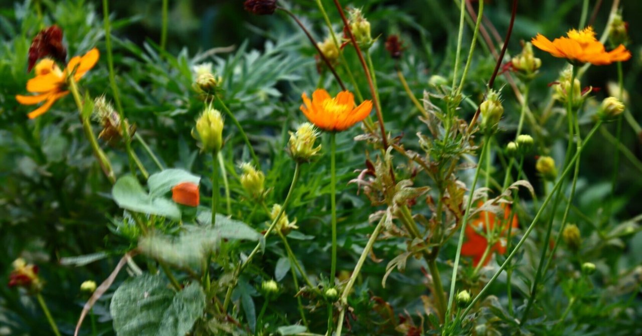 90Ⅾの力｜takahiro mori