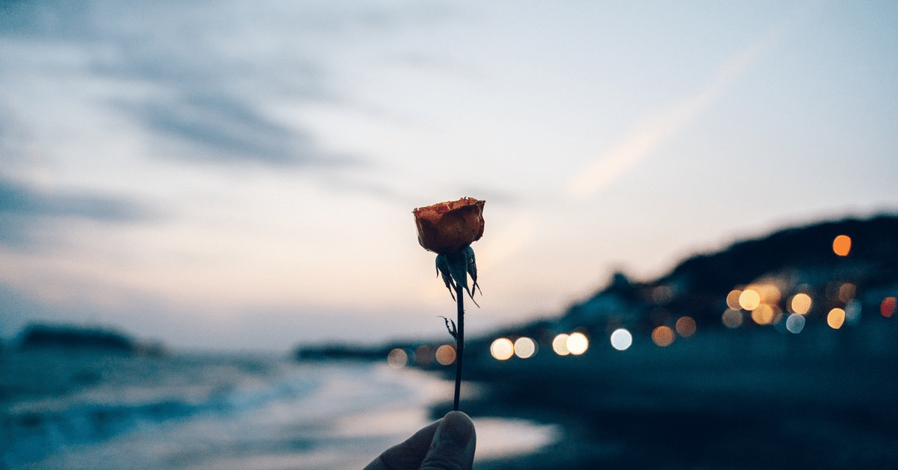 狂気と愛情｜natsuki