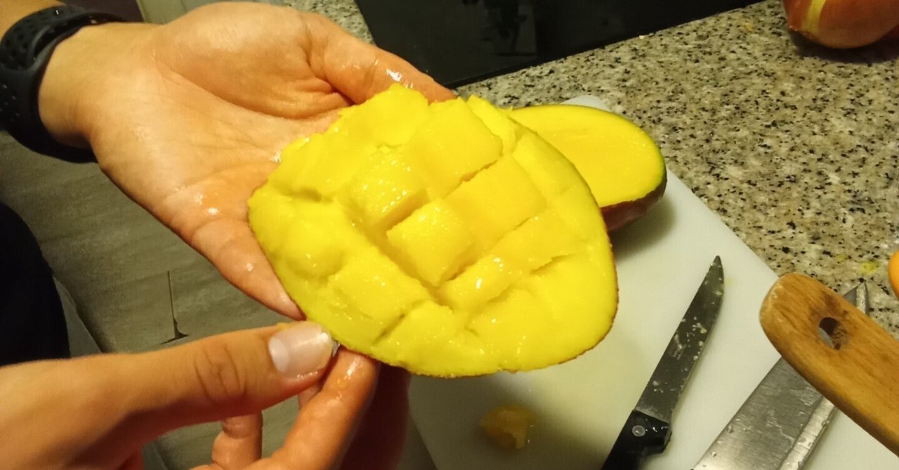 #110 マンゴー。種。長方形｜KoKi