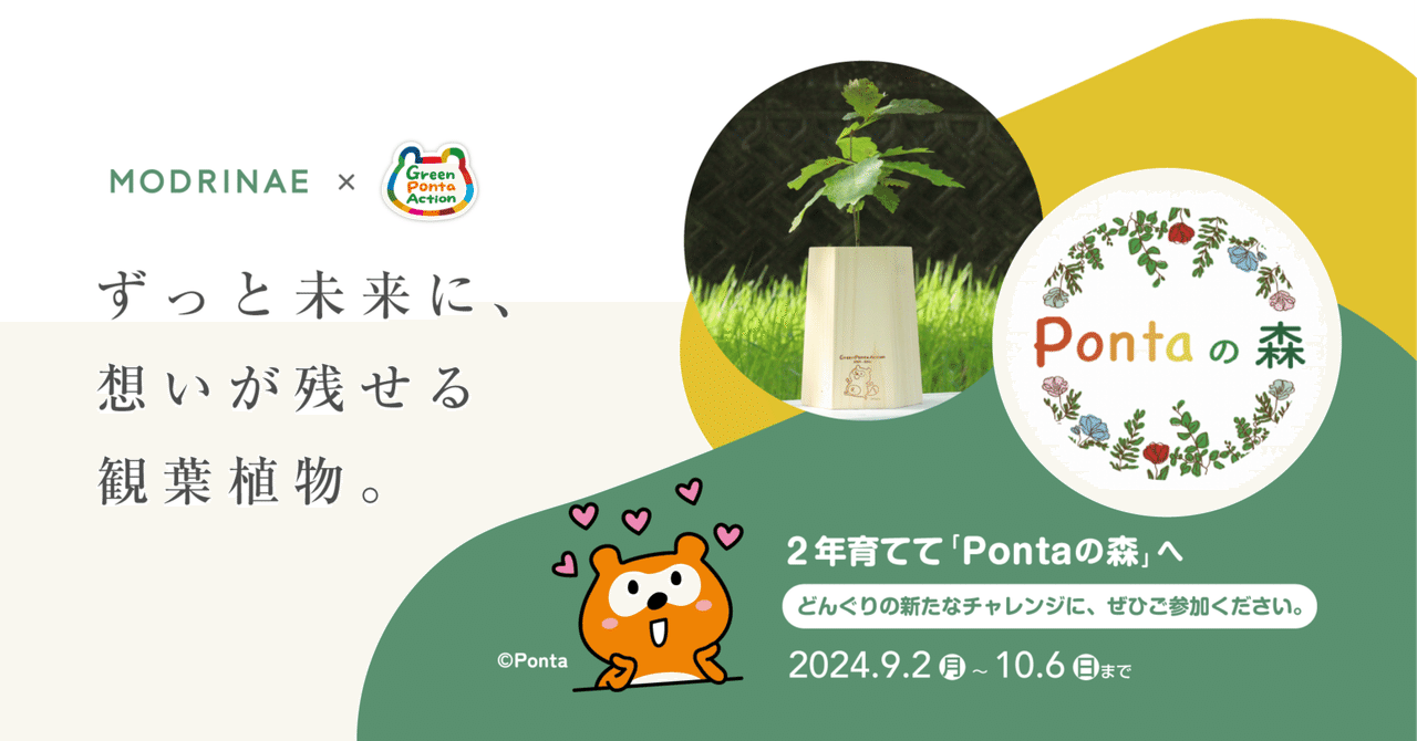 【特集】「MODRINAE -戻り苗- 」とは何か？その魅力は｜Green Ponta Action（GPA）