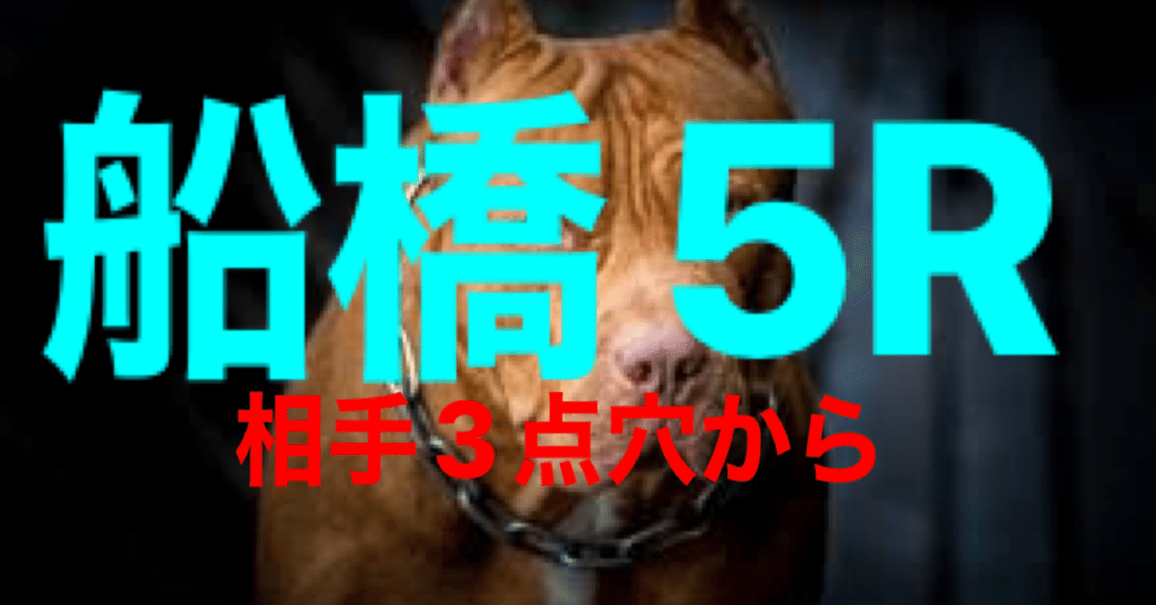 船橋5R穴から3点｜パドック師匠【PD master】公式🌐