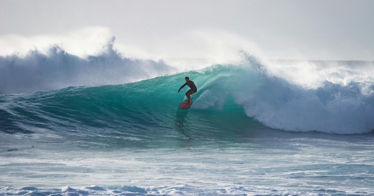 「身体」の健康だけでは物足りない｜ck_wakaba