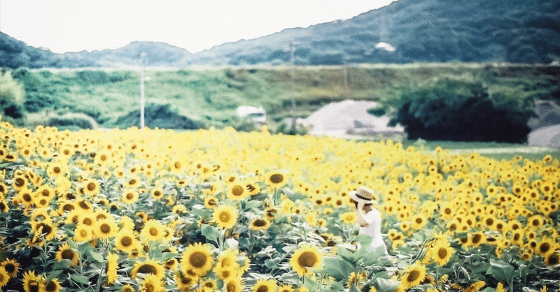 Roko｜ライター｜note