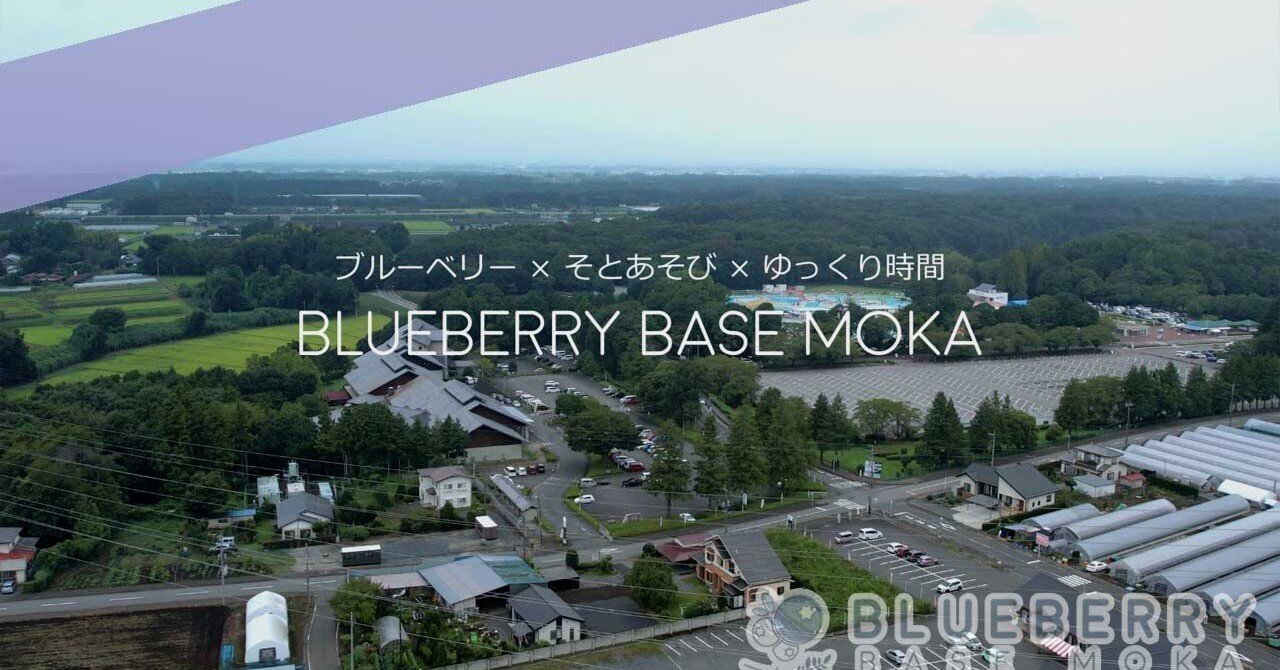 プロモーション動画を公開しました｜BLUEBERRY BASE MOKA