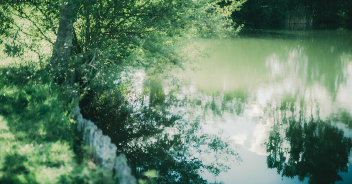 Leica M10-DとVoigtlander 40mm f1.2で散歩｜Taisuke Yoshida