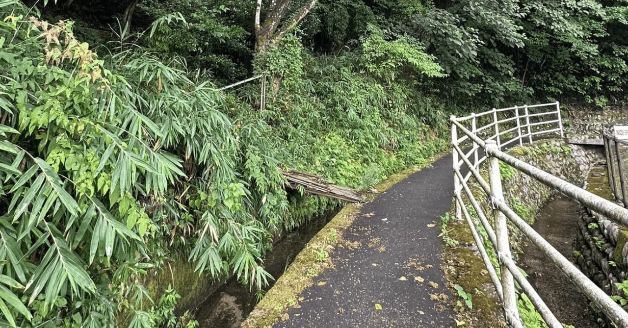 2024/08/28(水)記録｜雀ゴロNOB氏のJUNK STORY