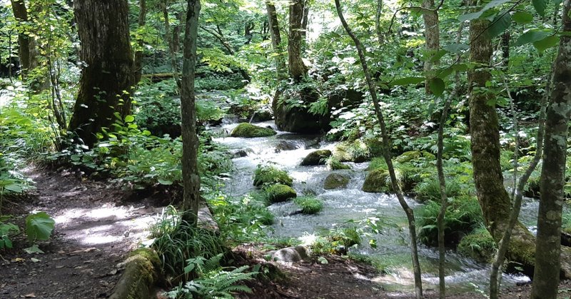 虹の彼方から Bright day EIKO｜note