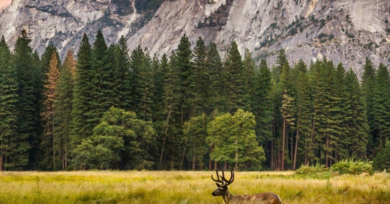 気候変動投資家Pollinationが1億5,000万ドルのVCファンドを立ち上げ、気候および自然問題解決に取り組むスタートアップ企業を支援｜矢谷優