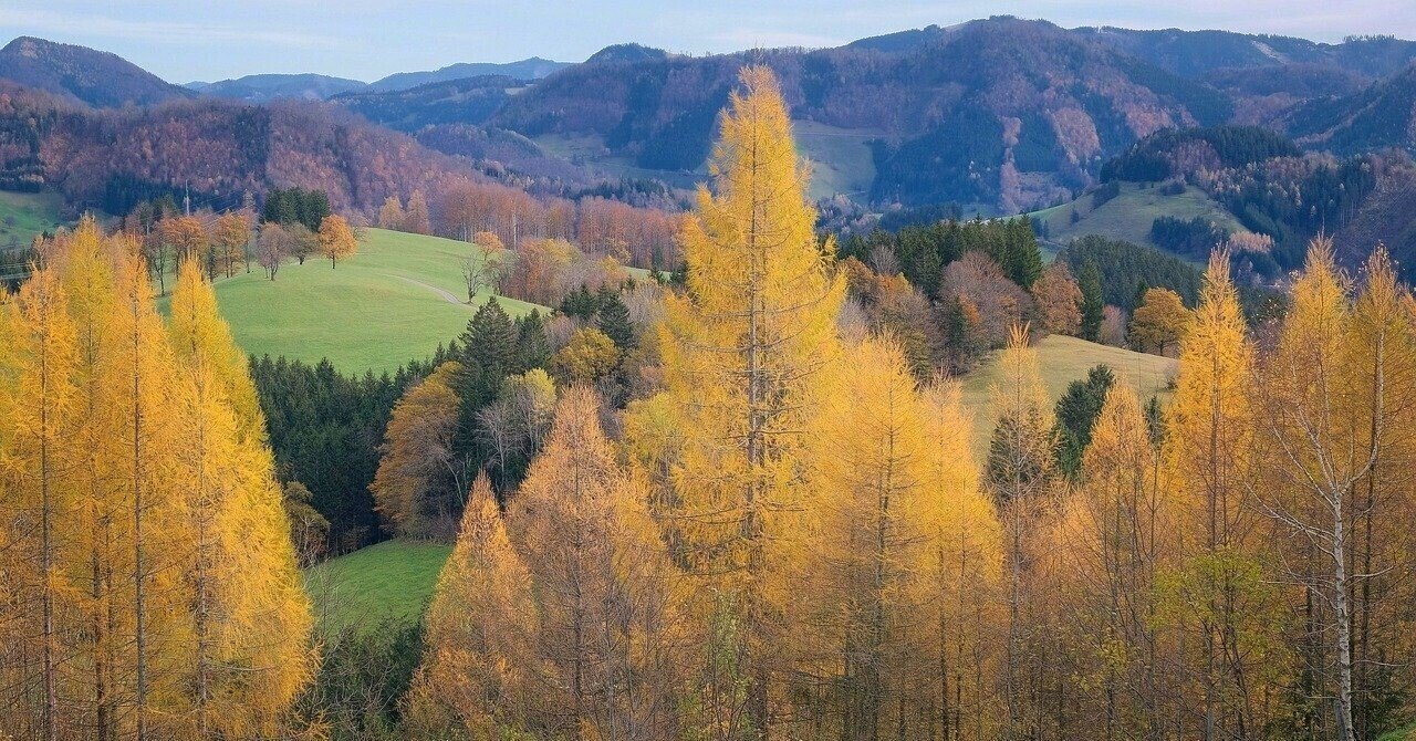 ミラ/Milla’s Daily Life｜note