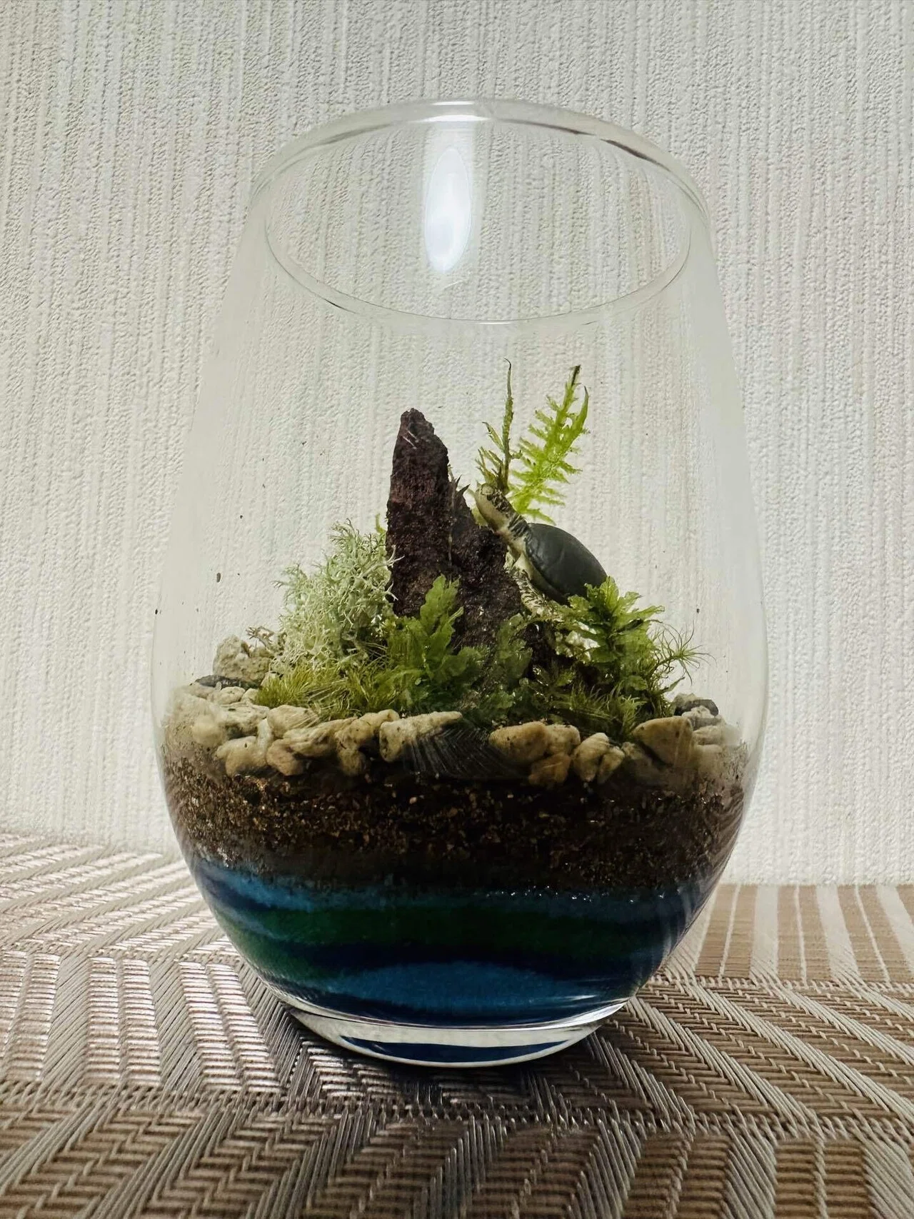 海底の苔テラリウム｜CoYou