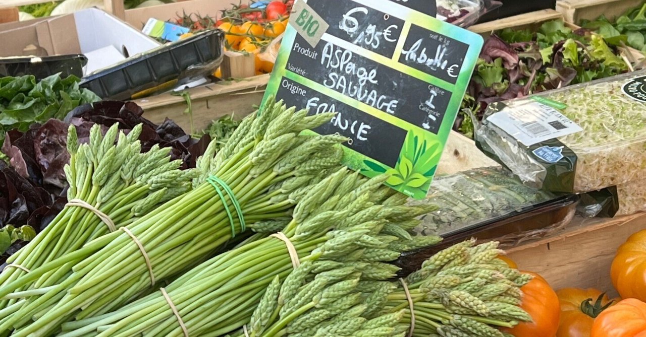 フランス留学生におすすめしたい欧州MBA留学中の自炊11選〜パリ編〜｜Jun Saso