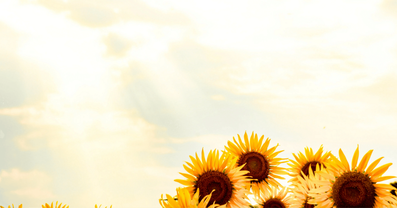 夏も終わる？｜ri_ko526