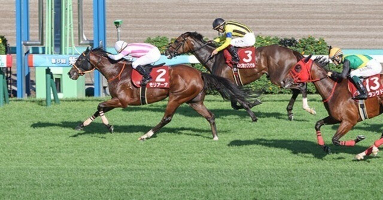 【2024 紫苑S（G2）】日刊馬番コンピ指数分析予想篇｜Haya