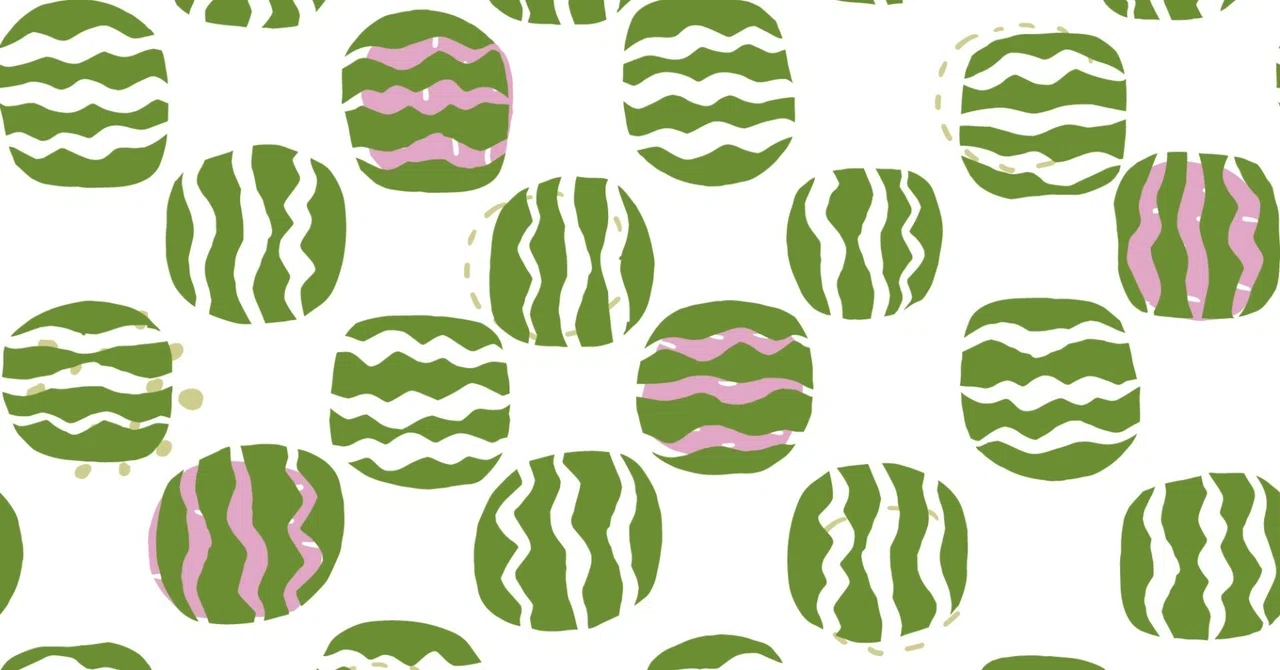Watermelon Checkered Pattern - Captivating Stripes｜kami-to-nuno*P