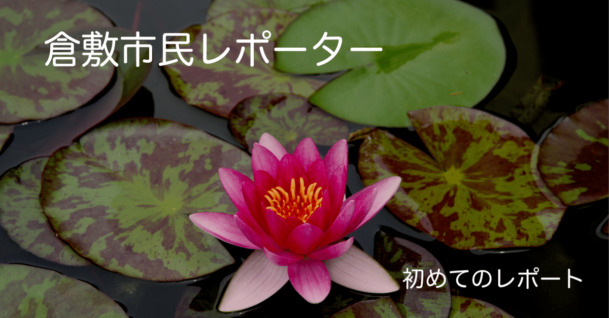 倉敷市民レポーター（2）｜787B(toru.)