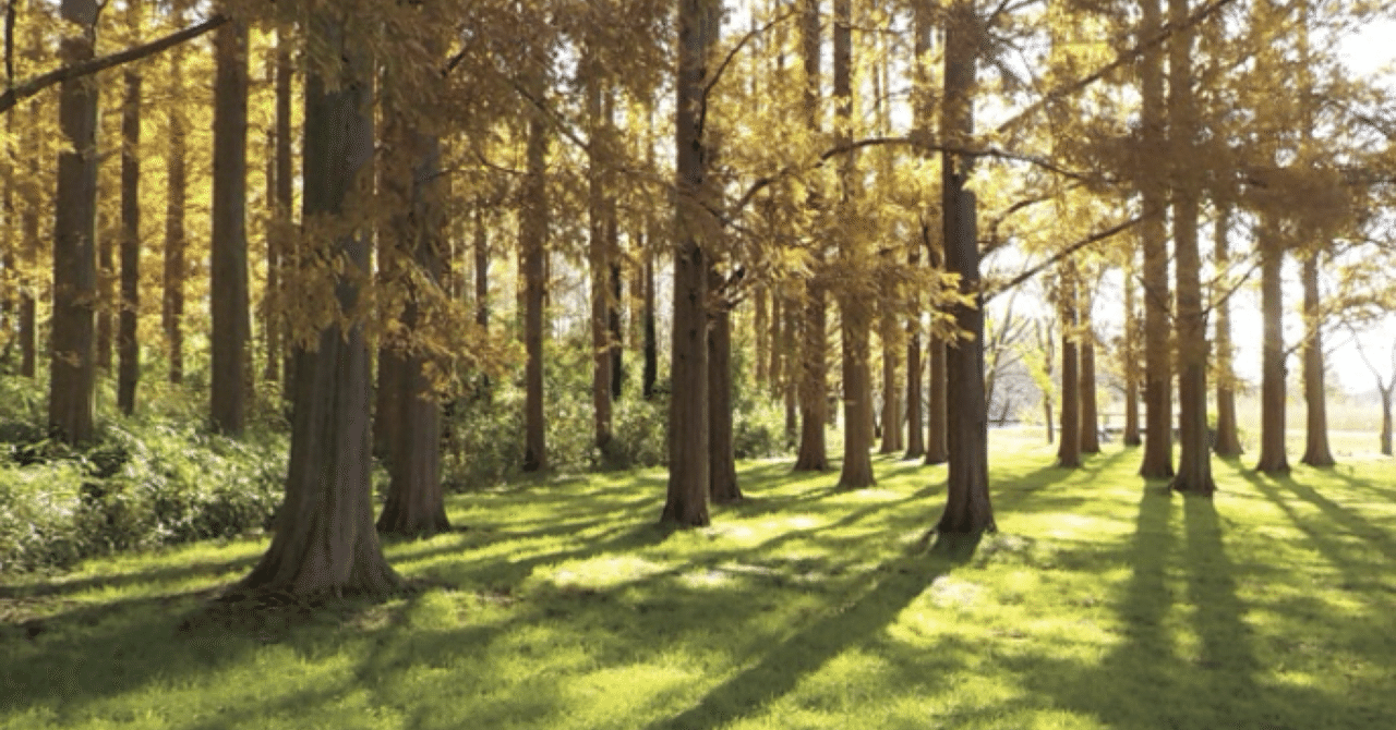 空風の帰り道｜kotomi_623