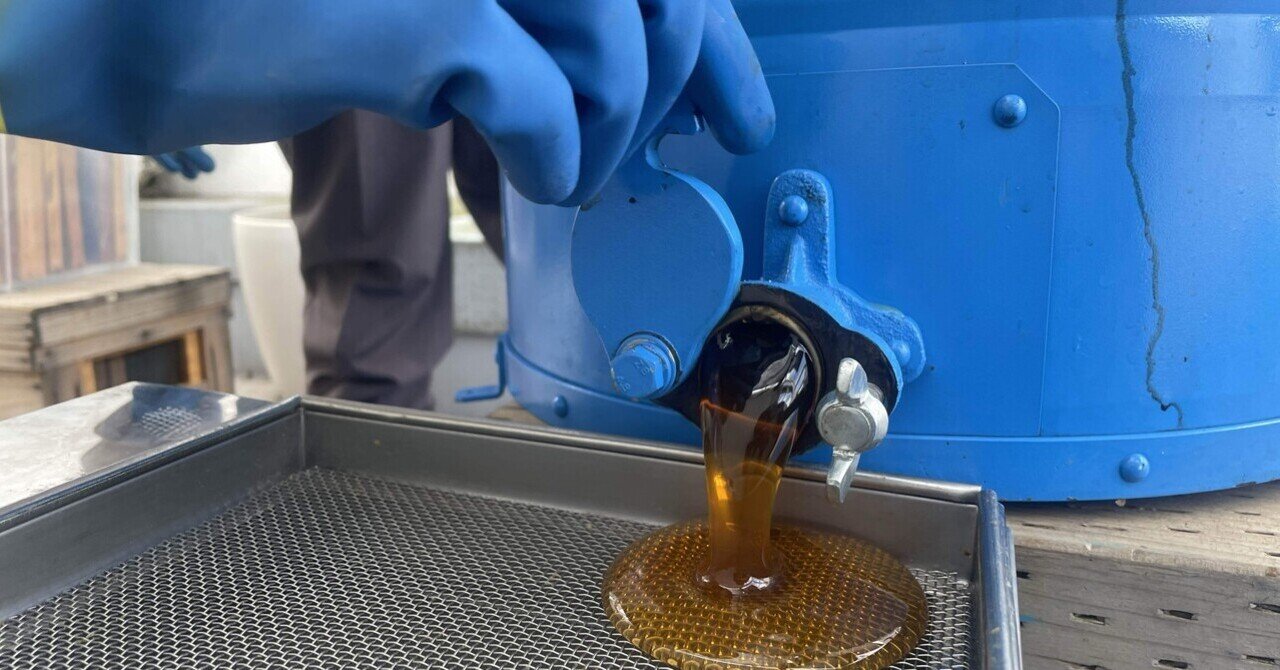 【養蜂生活1227日】｜yabusan（823）