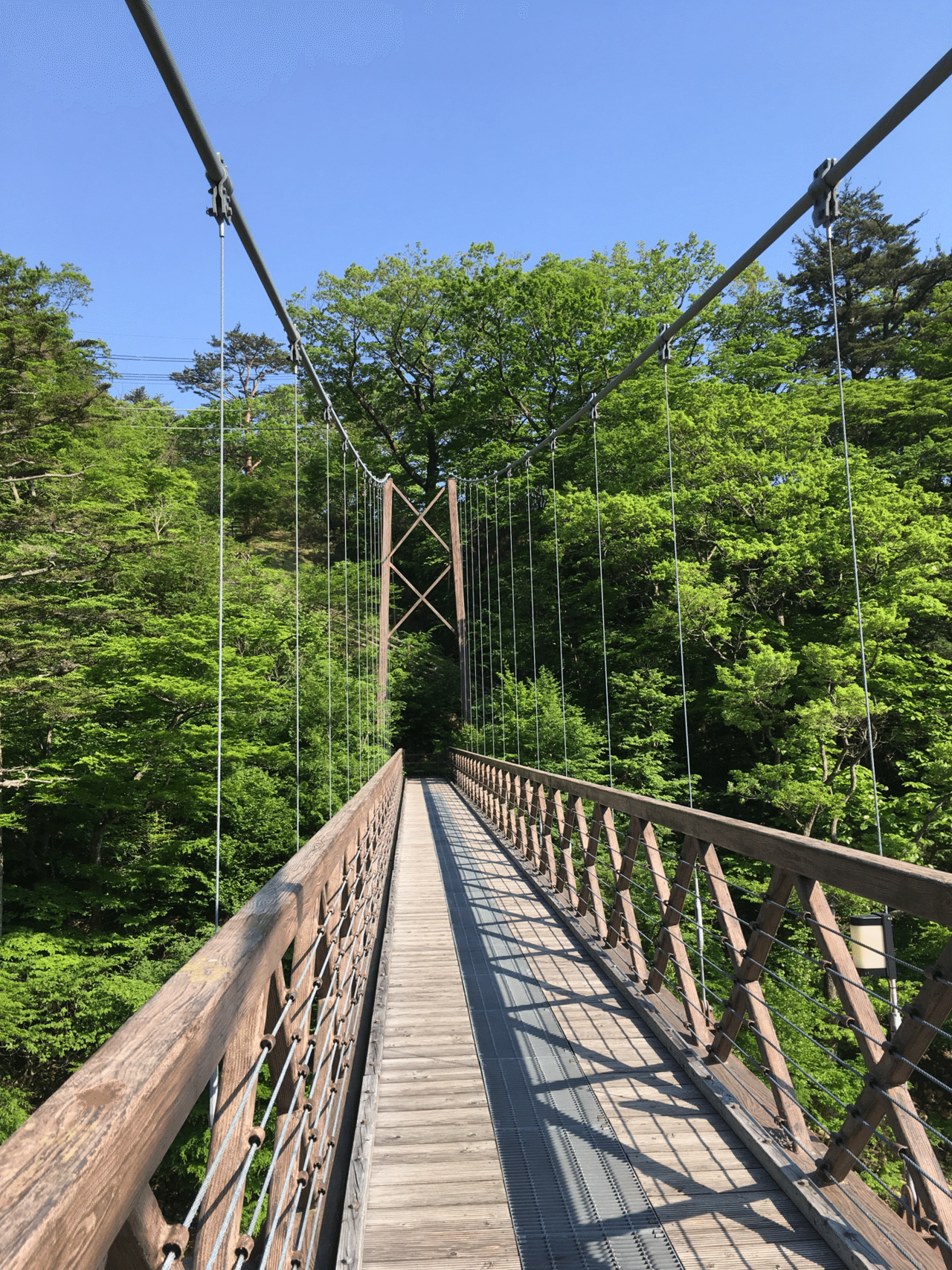 夏の吊り橋楽しいゆらゆら｜M-hagaaa