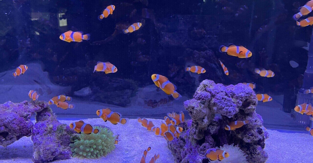 環境と空間のイヤシロチ化がもたらすもの｜Yuco Misawa