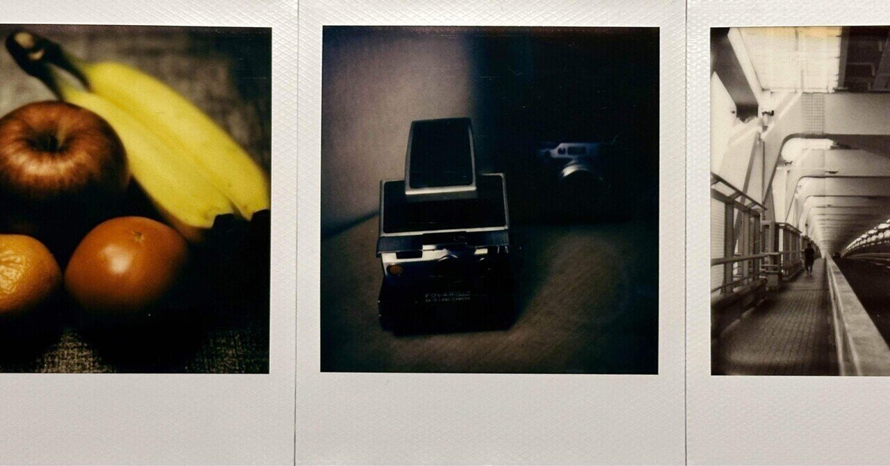 Polaroid SX-70｜shogo.m