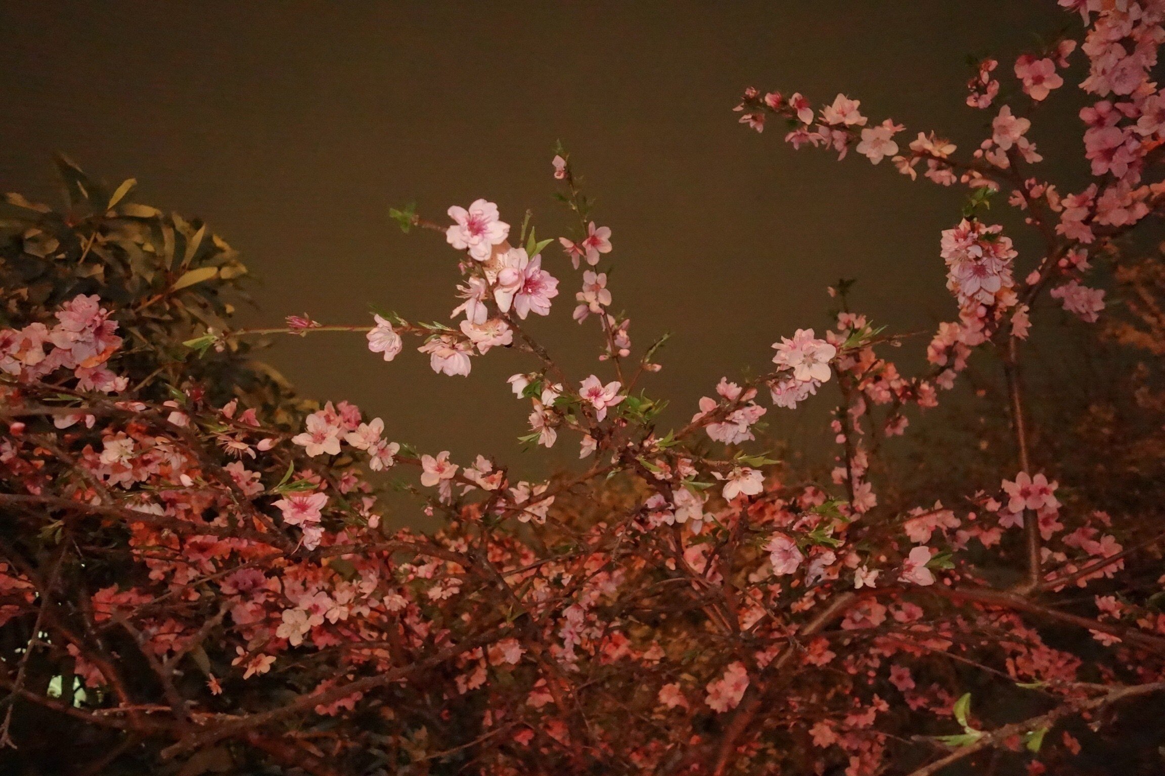 Taketoshi Sato｜note