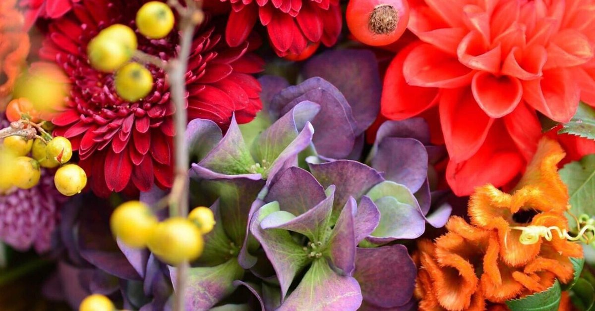 夜長月。｜Ruru*Pino