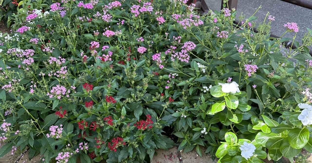 知らない誰か。｜Yuya Kikuchi