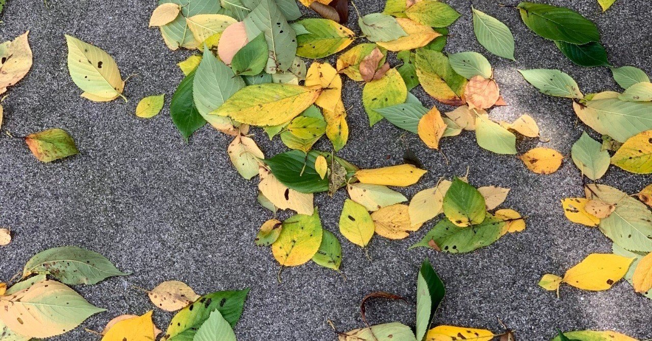 歳をとるのはむずかしいのか？｜丸山法子(Noriko Maruyama)｜note