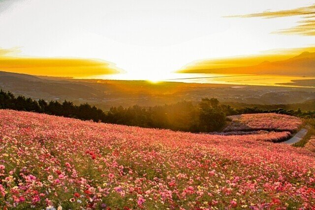 【SNOOPYの名言】 I need plenty of rest in case tomorrow is a great day.. 明日が ...