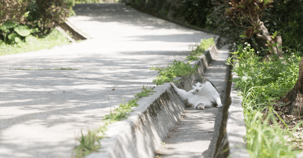 繋がり｜cocoro ien