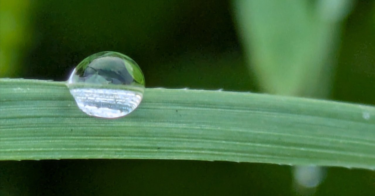 笑ったり泣いたり驚いたショート動画｜ichiro70