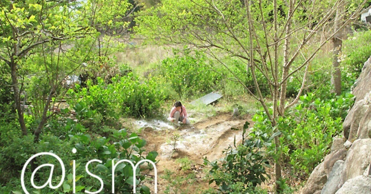 山育ち海育ち 自然育ちで免疫をつくる (2024/9/3 #036)｜高橋泉@ism