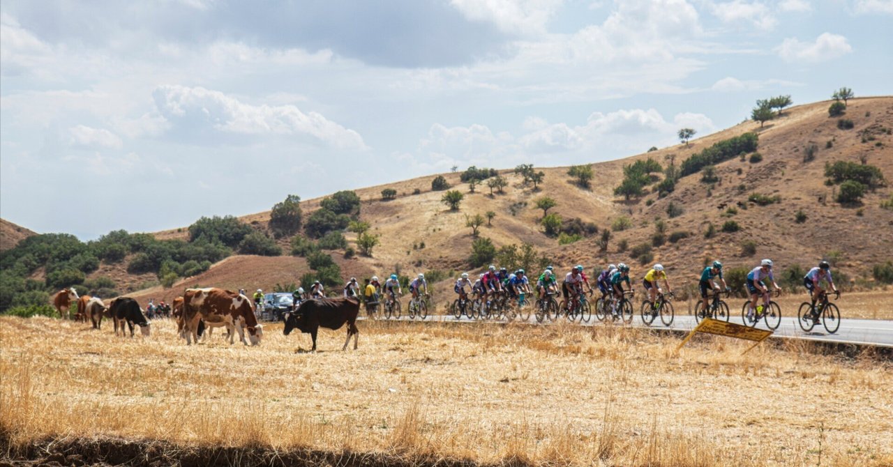 『Tour of Routhe Salvation ST4』｜新城雄大