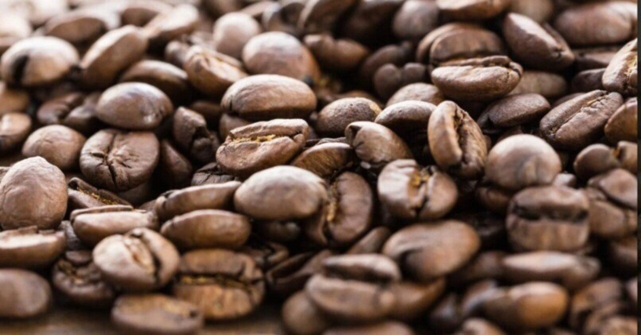 DOUTORとは..｜mashu_ushu