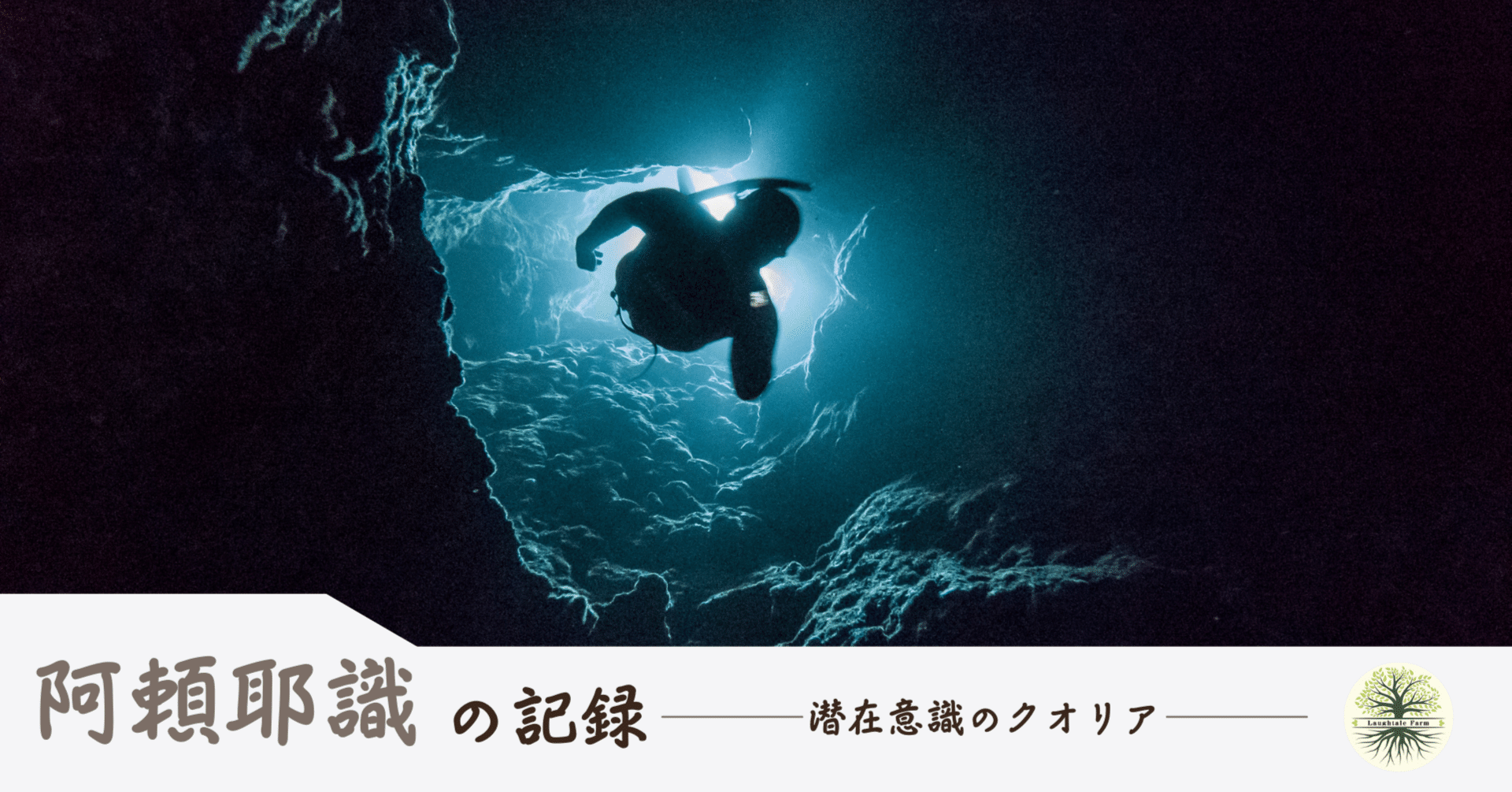 アシカ『意識のクオリア』名無しの369｜note