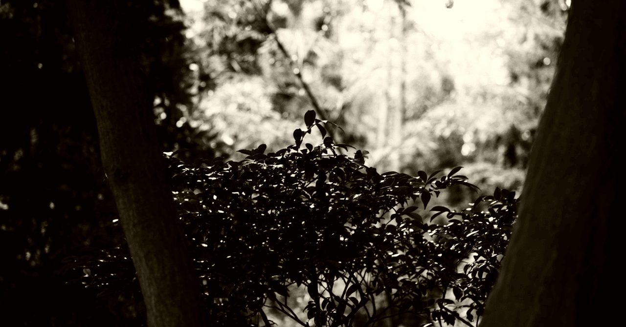 Ryosuke Matsusima｜note