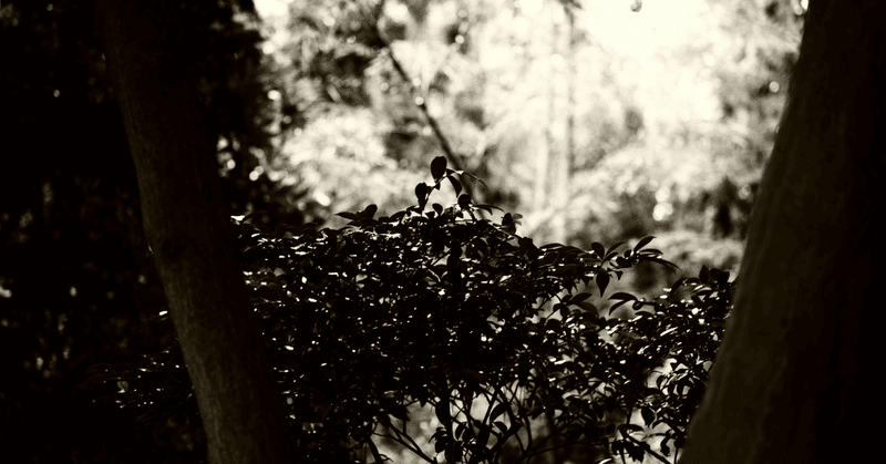 Ryosuke Matsusima｜note