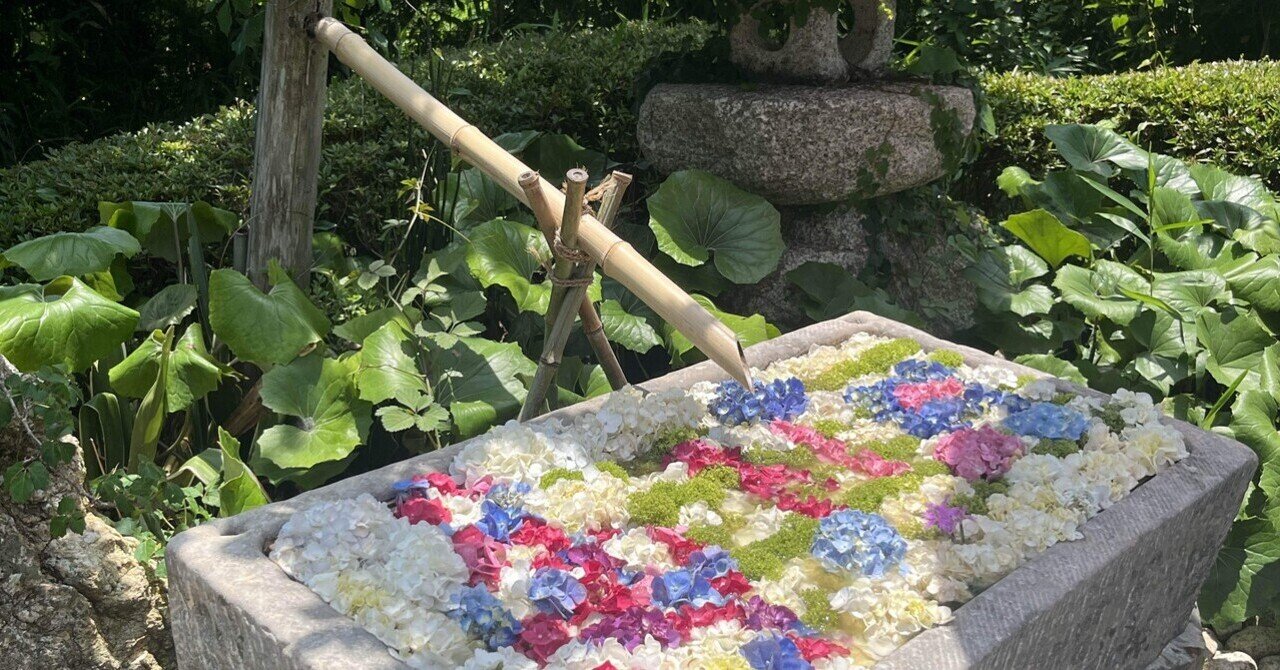 大手MLMの悲劇 ️｜moco moco