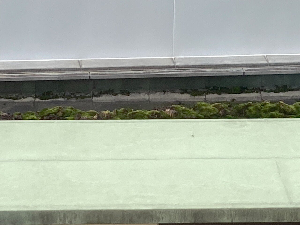 小方 孝（Takashi Ogata）｜note