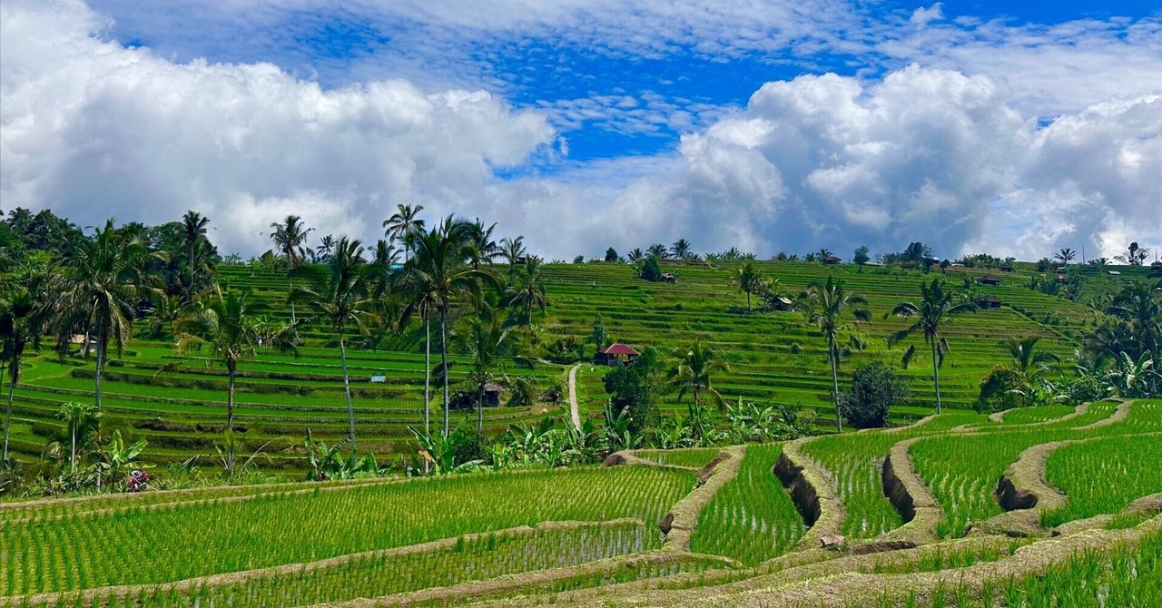 バリ島ウブド-プロジェクト参加の旅⑨-｜Arisa Mitsui