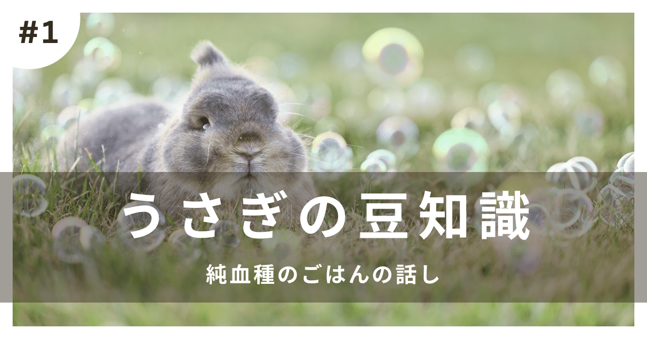 純血種のごはんの話し｜Karin’zRabbitry＊福永