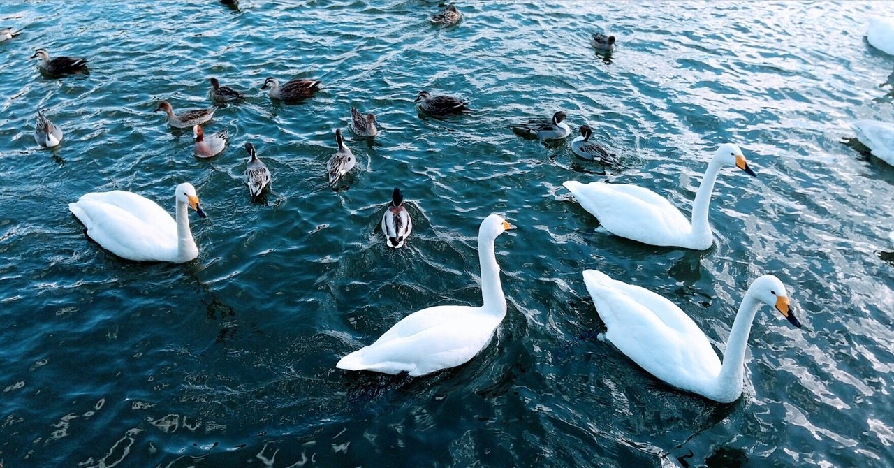 ここがお前の墓場だ｜東雲アキ