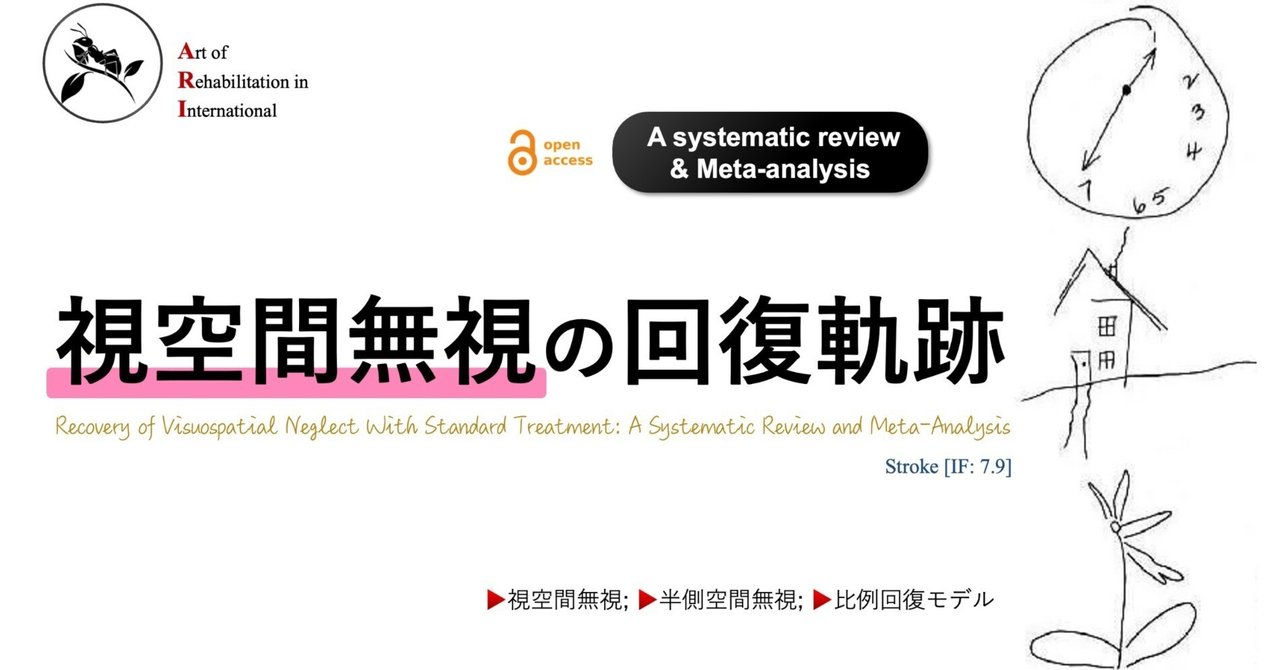 視空間無視の回復軌跡｜super Human 理学療法士／保健学博士 Phd