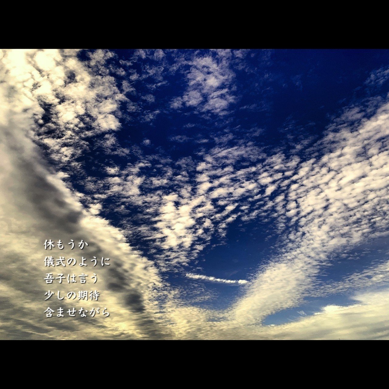 今日の短歌と写真。｜⭐︎HIROMI⭐︎｜note