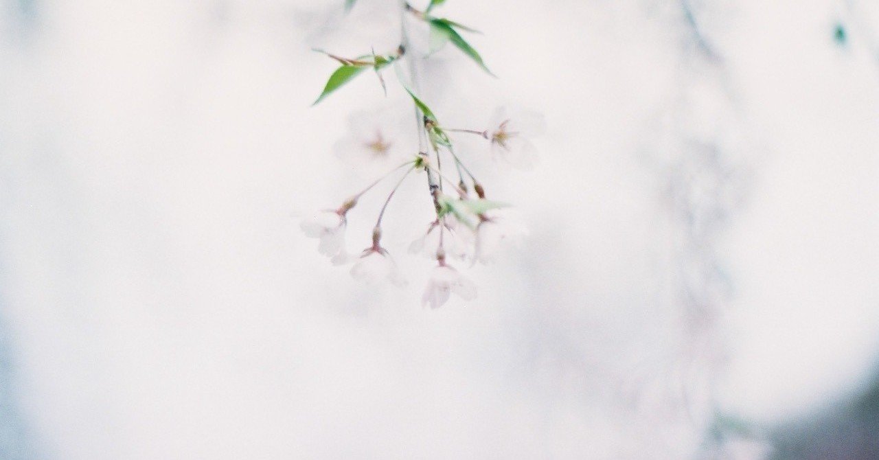 モノの思い出とか記憶とか｜kbfm｜note