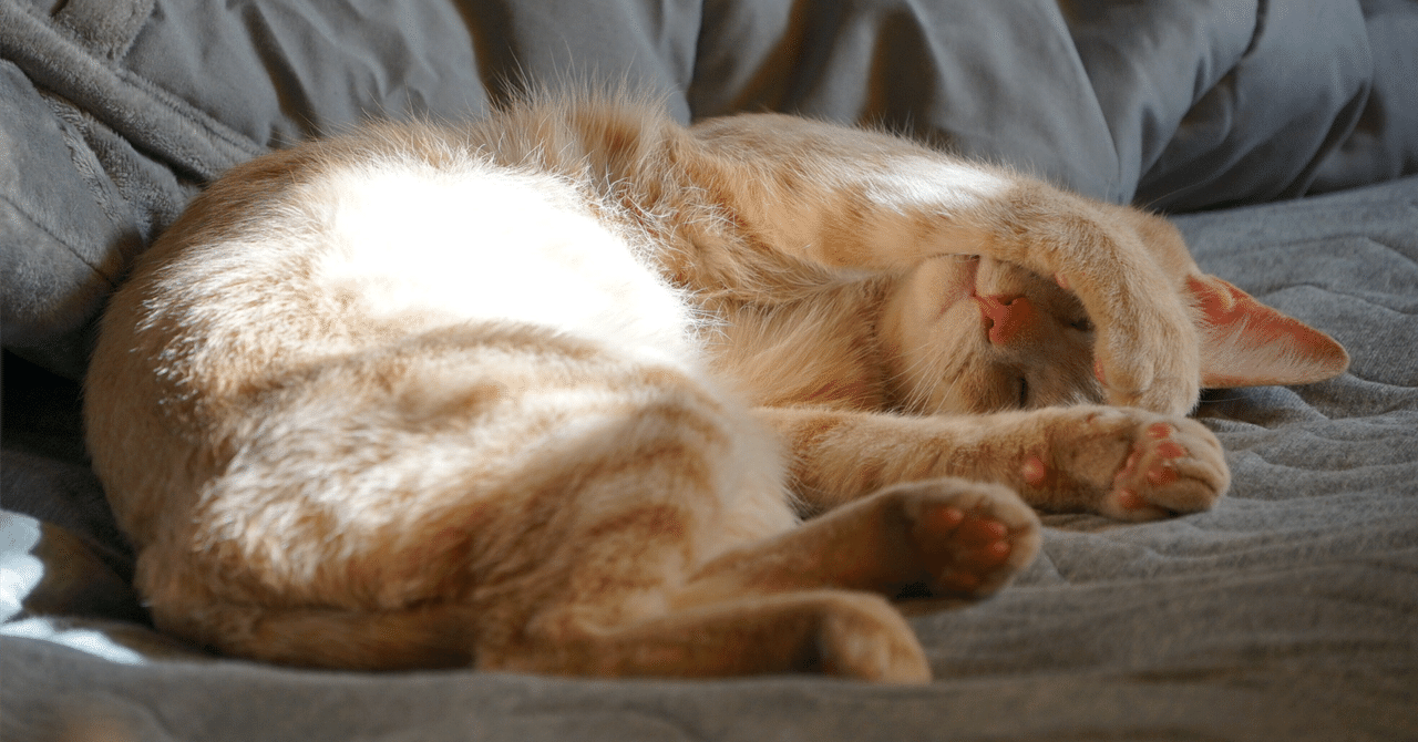 （短編） 弾けて飛びそうだ｜安道久一郎 Qichiro Ando