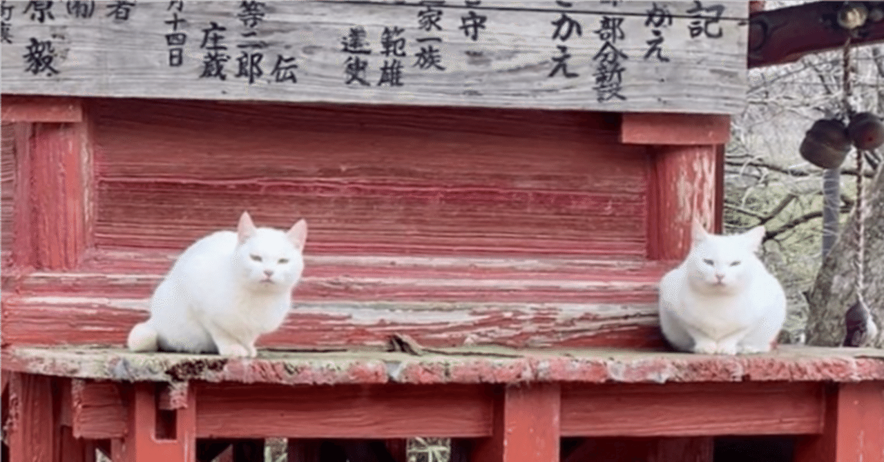 ☆病気と希死念慮☆神様のテスト？｜Sinri～真理901～ 推し活を推奨 感覚派 心理カウンセラー &スピリチュアル メンタルヒーラー