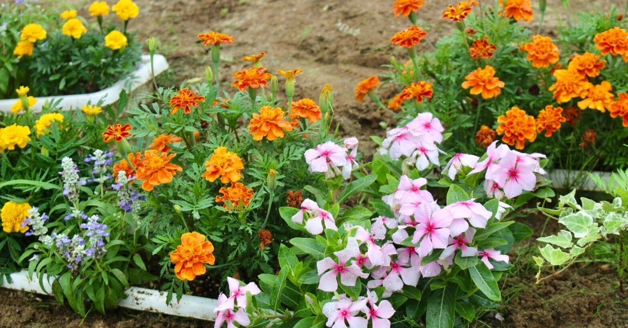 大熊町情報note｜note