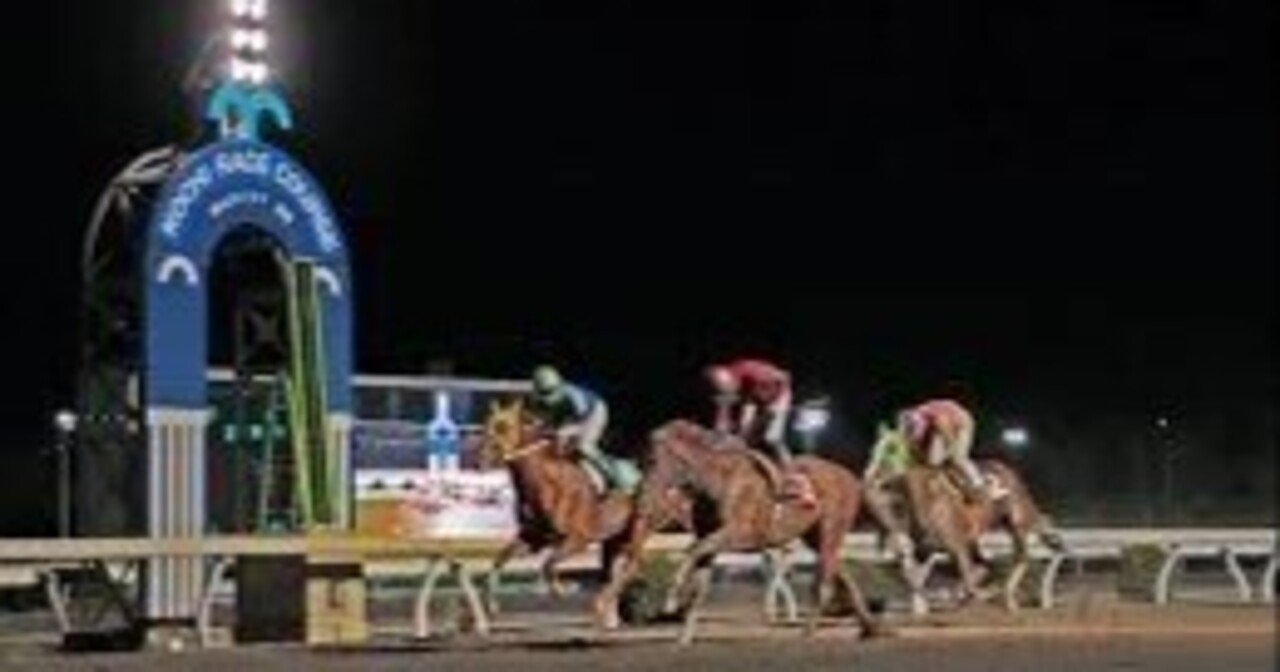 97土高知競馬12r 超絶勝負レース 地方競馬本日特大万馬券＆一撃高配当多数的中 大幅プラス達成 中山6r単勝230円‼️馬単2940円