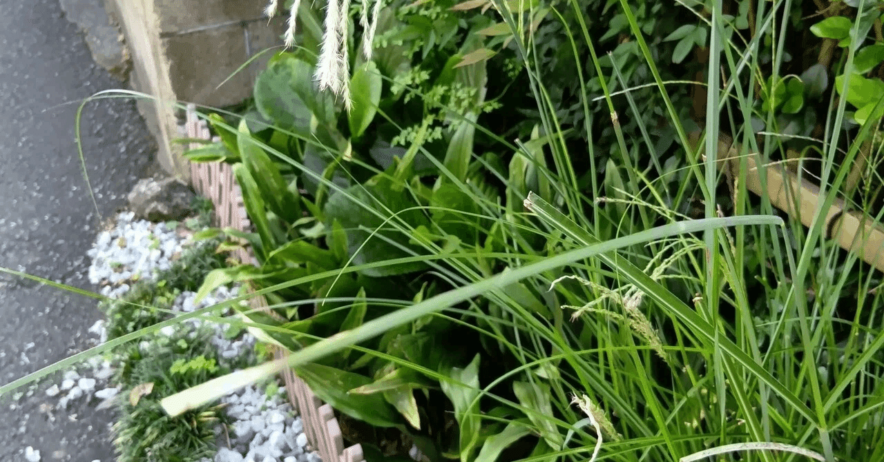 rustc ubuntu install｜blue06_2022